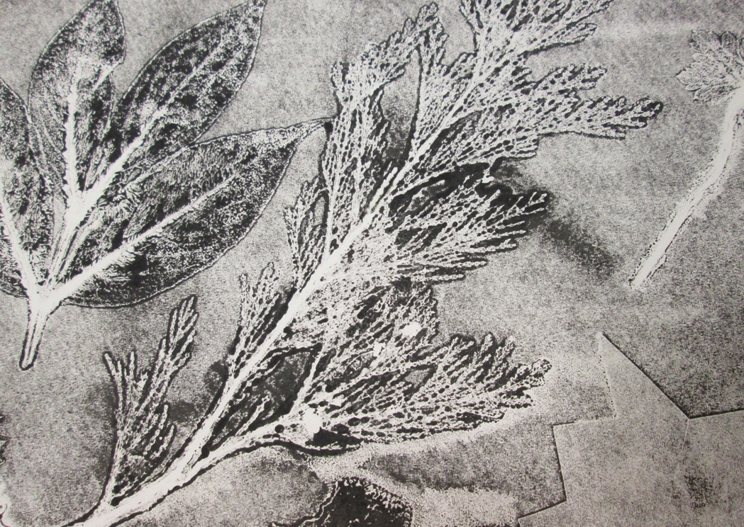 Fullhurst Community College - Monoprints